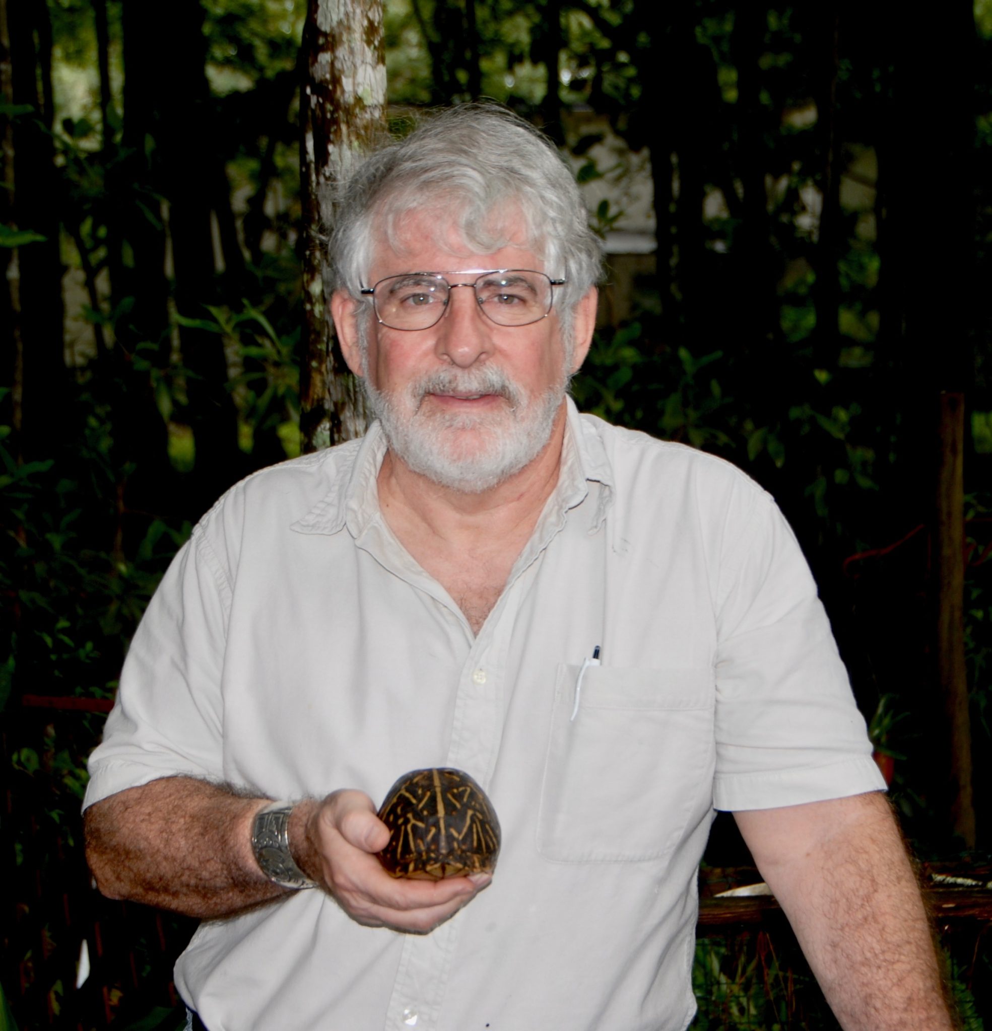 Tortoise and Freshwater Turtle Specialist Group