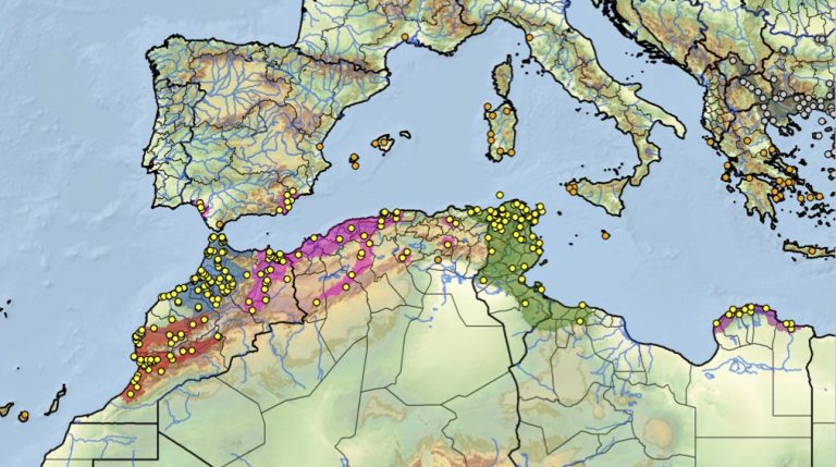 Tortoise and Freshwater Turtle Specialist Group
