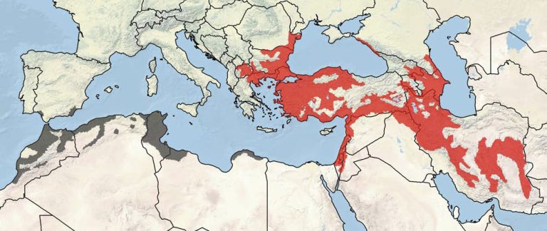 Tortoise and Freshwater Turtle Specialist Group