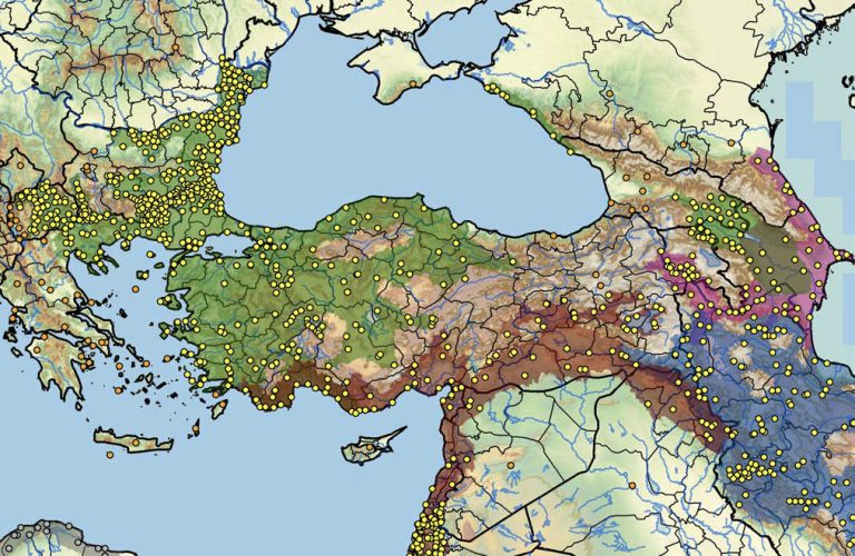 Tortoise and Freshwater Turtle Specialist Group